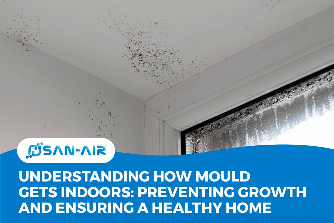 Understanding How Mould Gets Indoors | Ensuring a Healthy Home